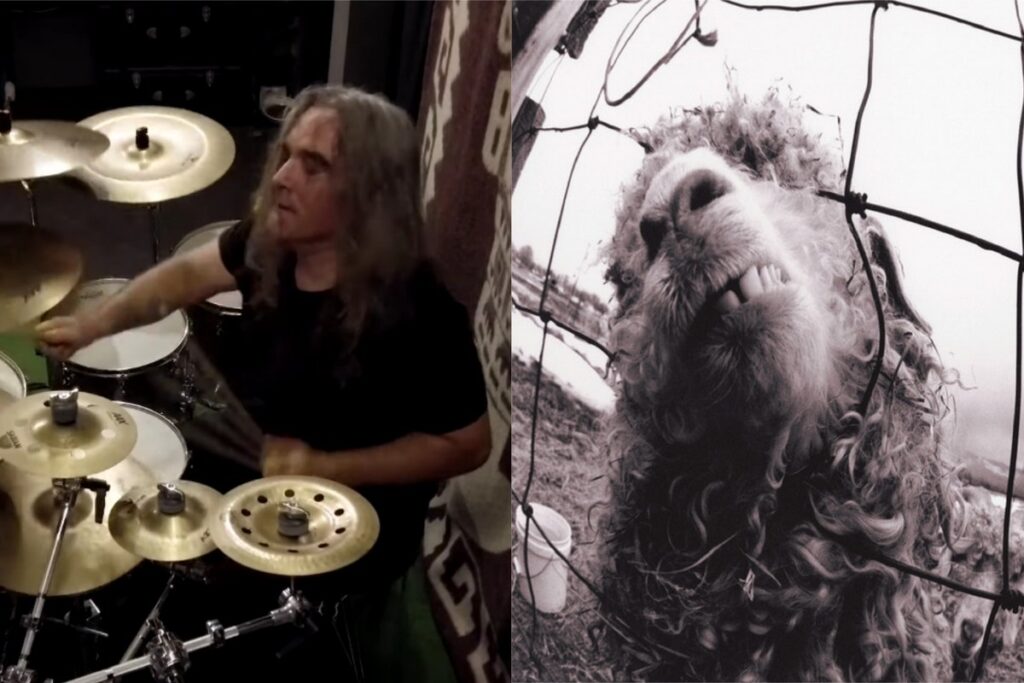Ex-Pearl Jam Drummer Confronts 'Goof' Lying Fans - Alternative Nation